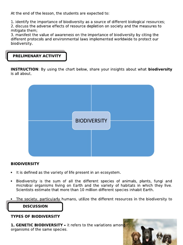 Biodiversity and Water Storage and Flood Control | PDF