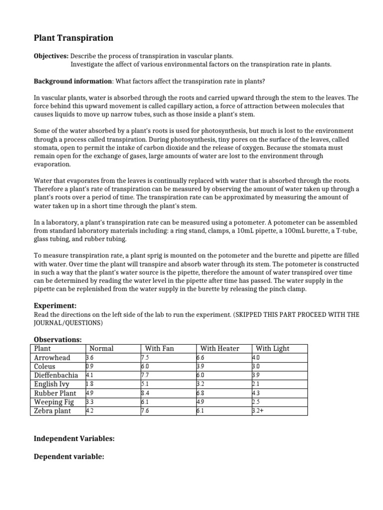 Plant Transpiration Factors | PDF | Stoma | Applied And ...