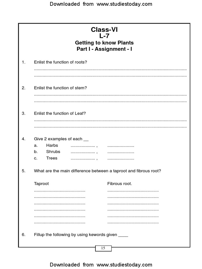 Class 6 Plant Structure Worksheet | PDF | Horticulture And Gardening ...