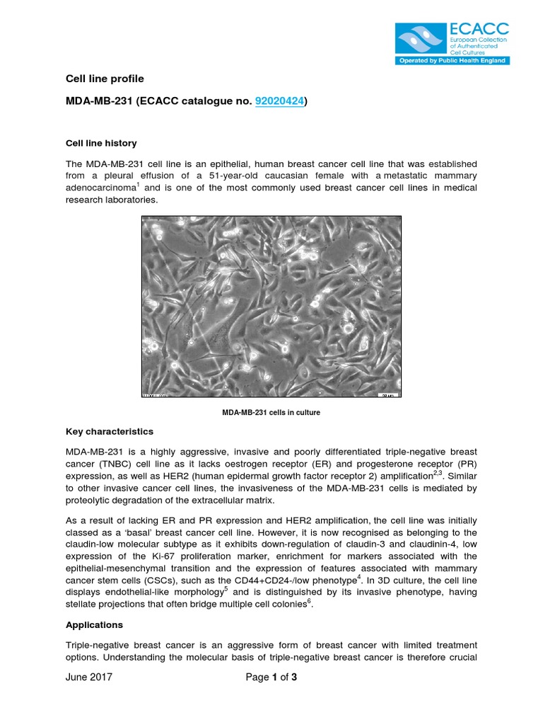 MDA-MB-231 Cell Line Overview | PDF | Metastasis | Cancer