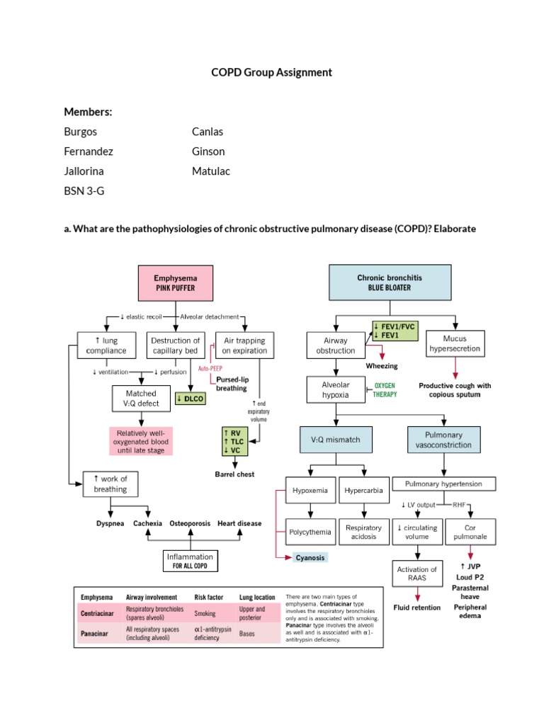 COPD Case Study | PDF | Hypoxia (Medical) | Chronic Obstructive ...