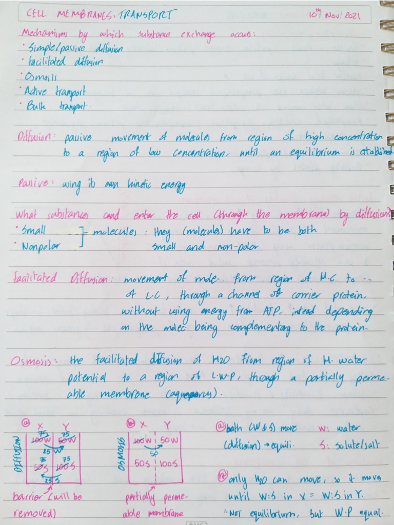 Cell Membrane - Transport - A Level Biology | PDF