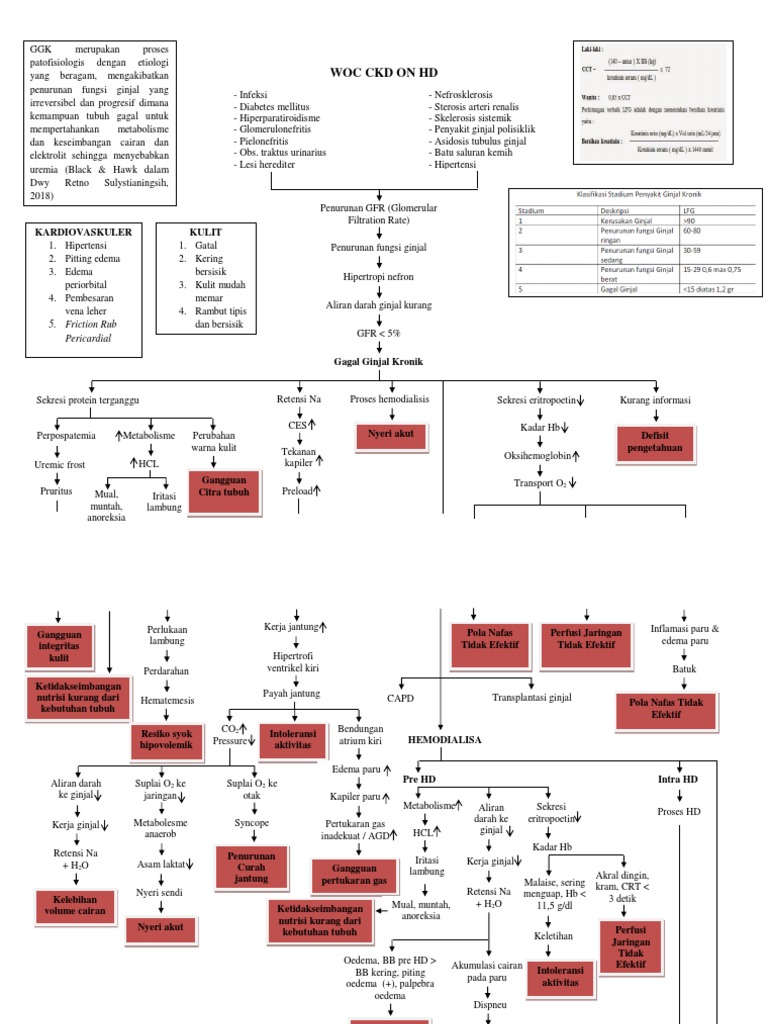 WOC CKD HD Fix | PDF