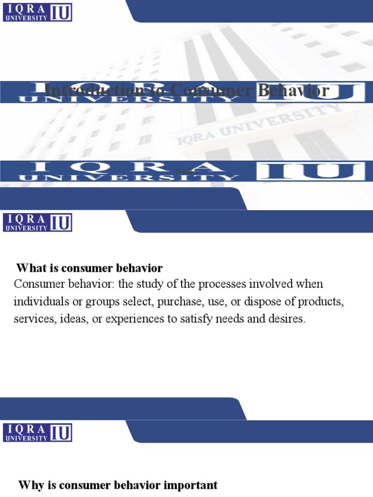 Introduction to Consumer Behavior | PDF | Consumer Behaviour | Behavior