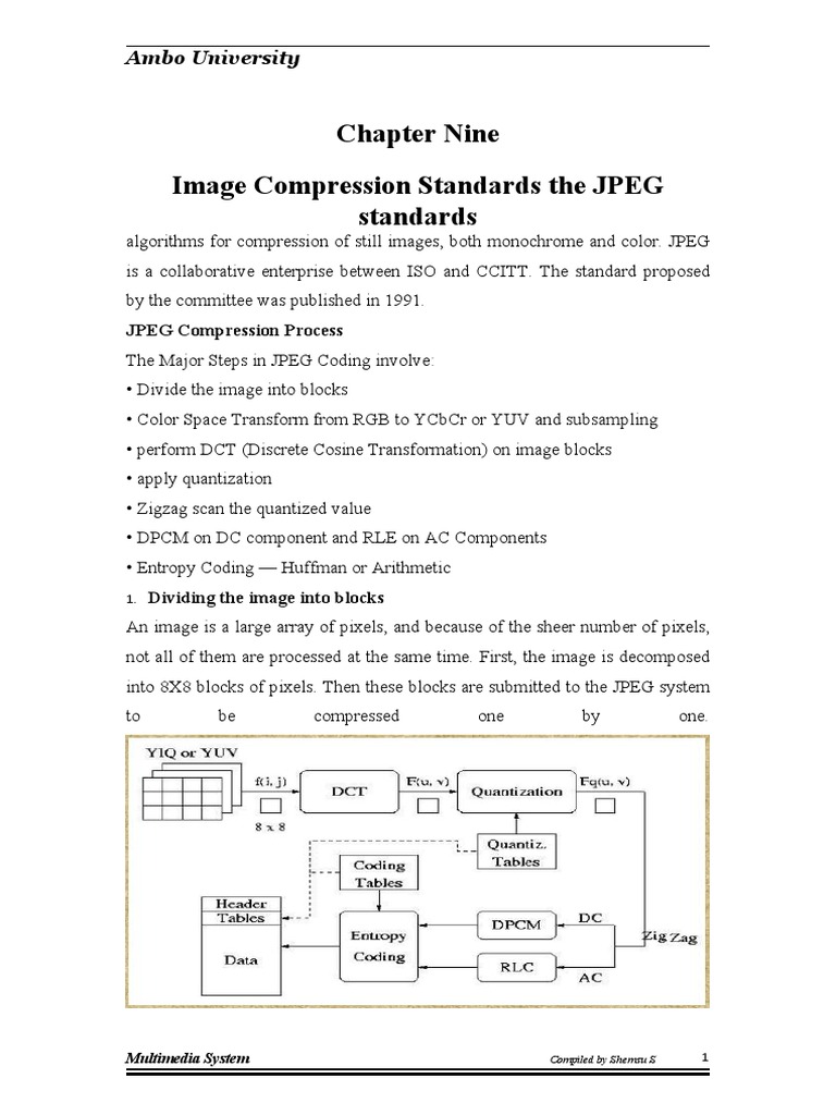 Multimedia Systems Chapter 9 | PDF | Data Compression | Computer Data