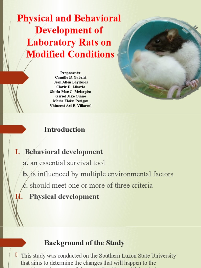 Physical and Behavioral Development of Laboratory Rats On Modified ...