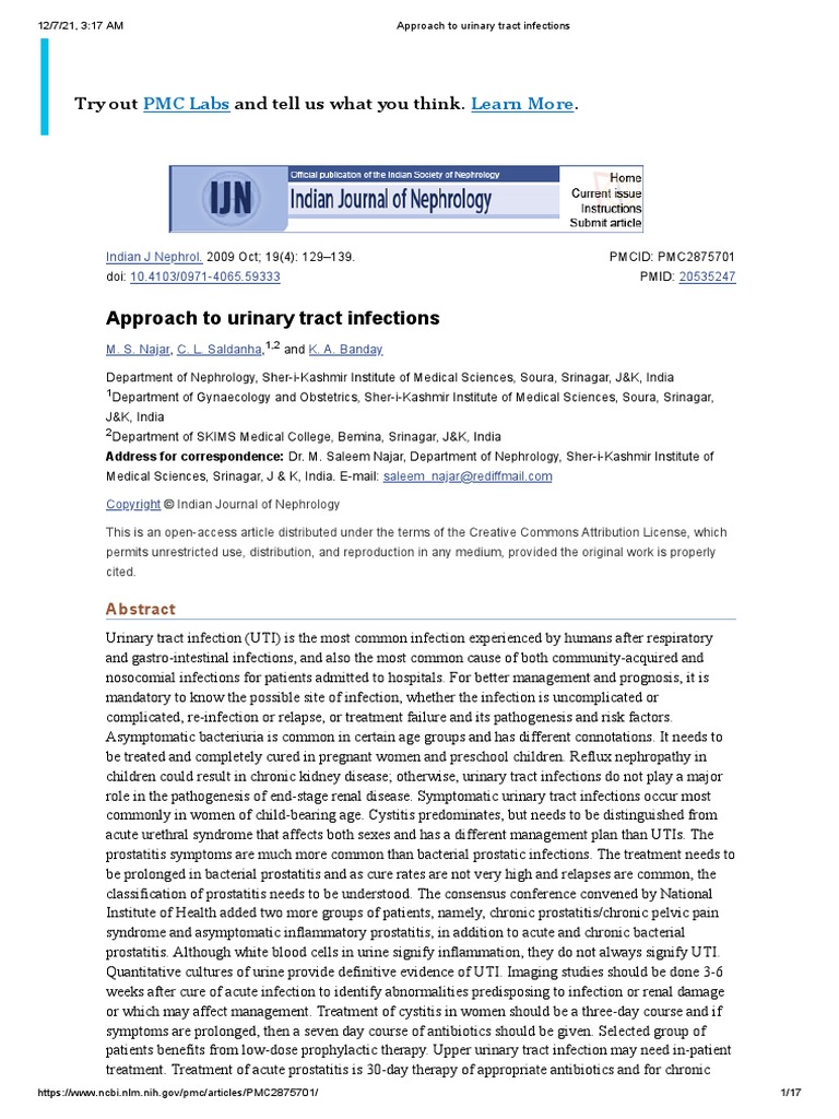 Approach To Urinary Tract Infections: PMC Labs Learn More | PDF ...