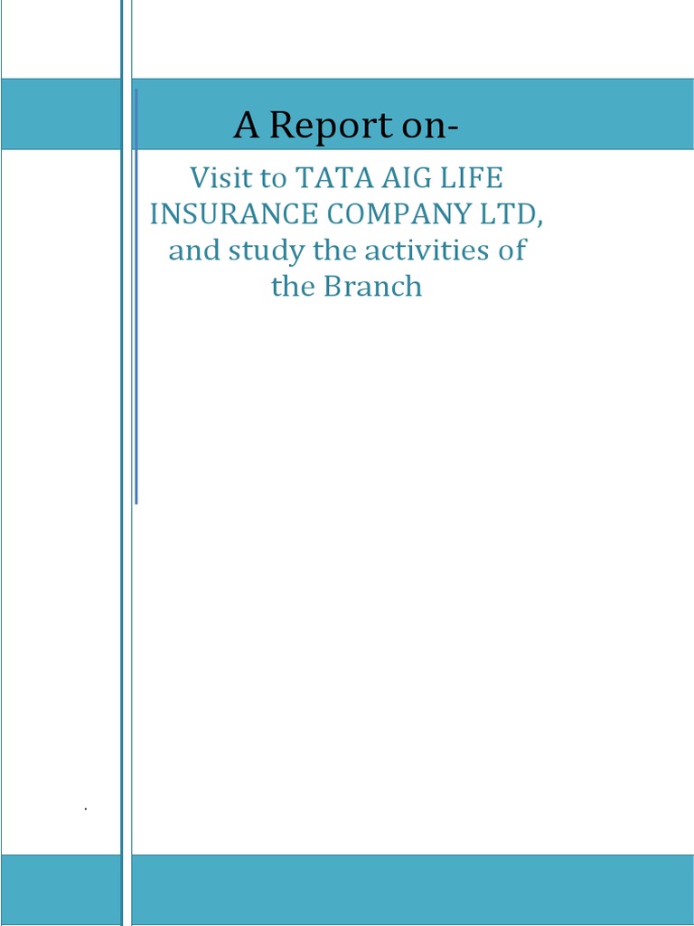 Insurance Project Report | PDF | Financial Services | Economies