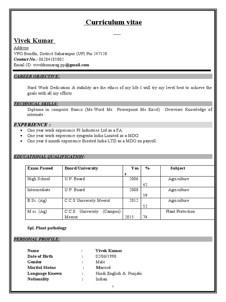 Curriculum Vitae: Vivek Kumar | PDF
