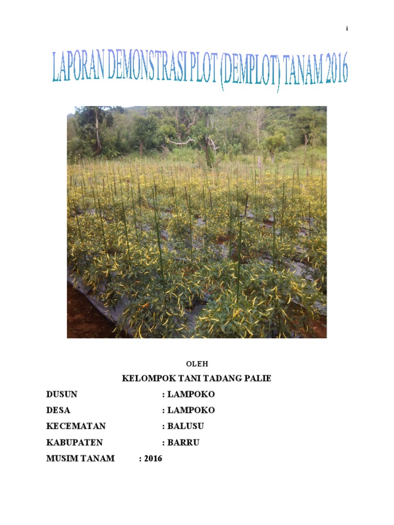 Laporan Demplot Cabe | PDF | Griya & Taman | Teknologi & Rekayasa