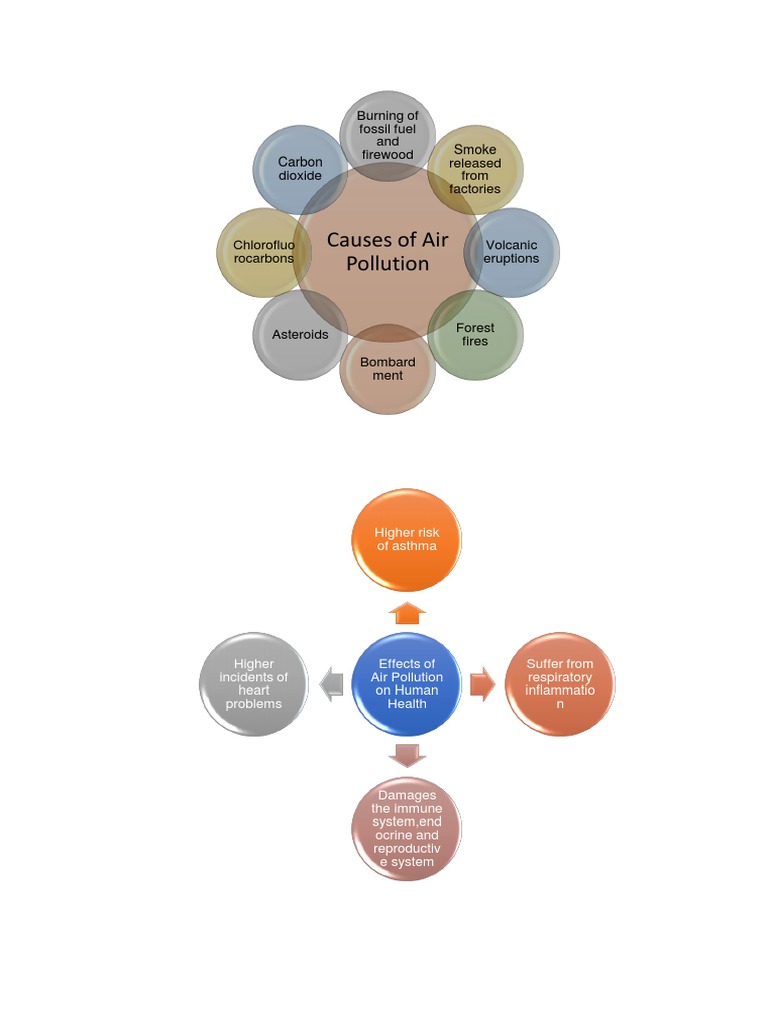 Causes and Solutions for Air Pollution | PDF