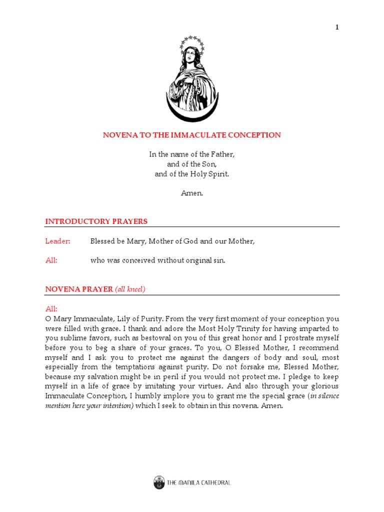 Novena To The Immaculate Conception | PDF | Mary, Mother Of Jesus | Mercy