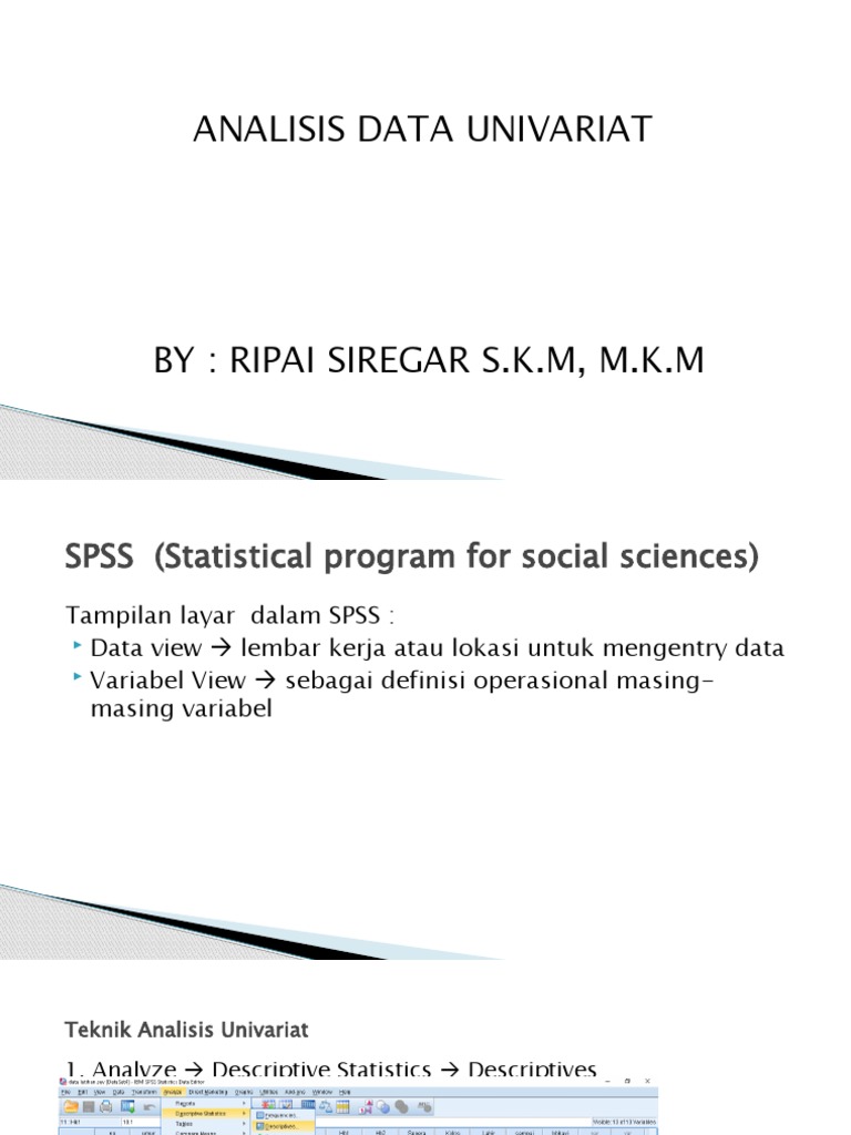 Analisis Data Univariat | PDF