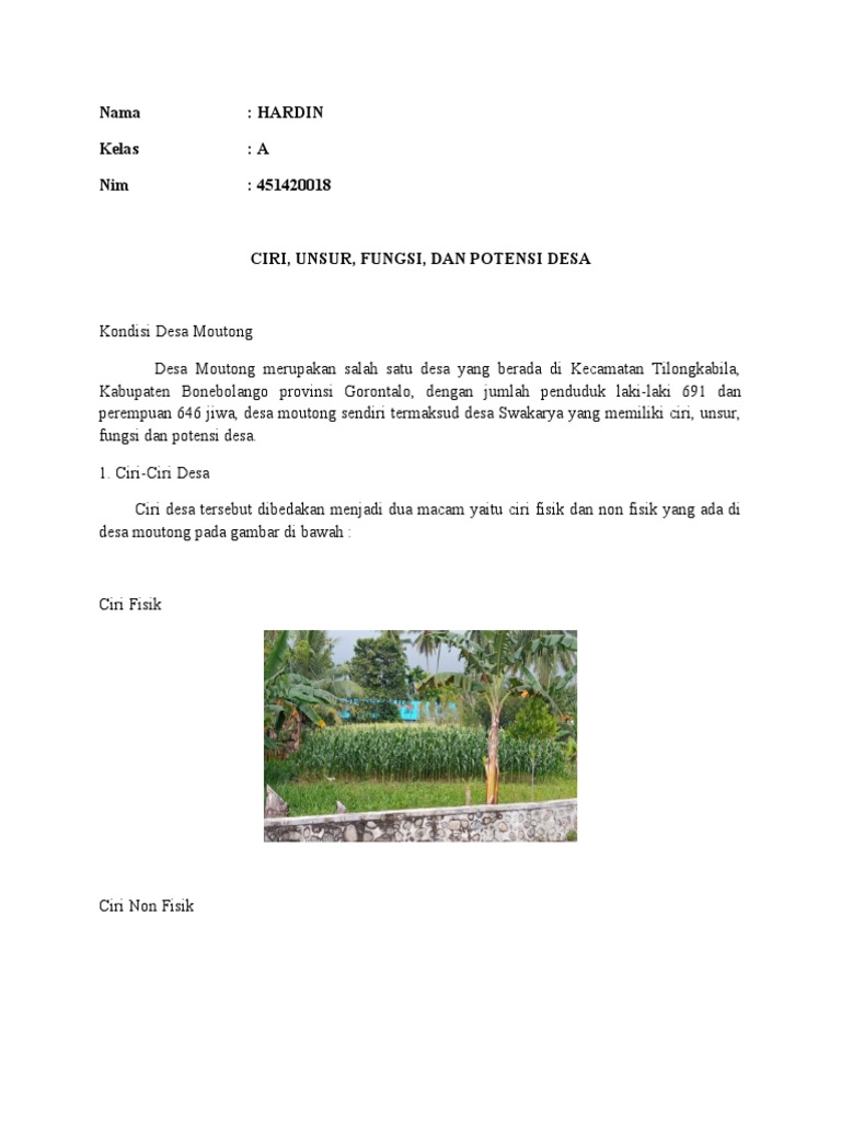 Artikel Geografi Desa Kota | PDF