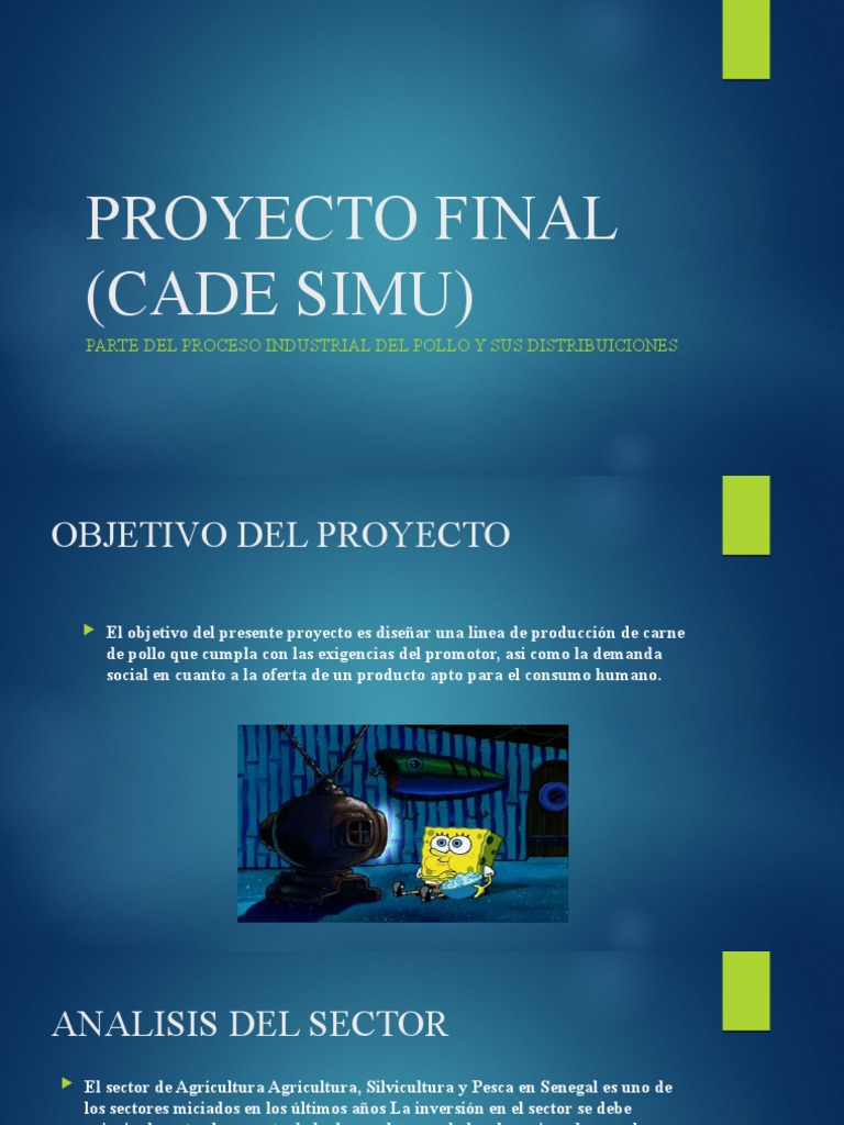 Proyecto Final (Cade Simu) | PDF