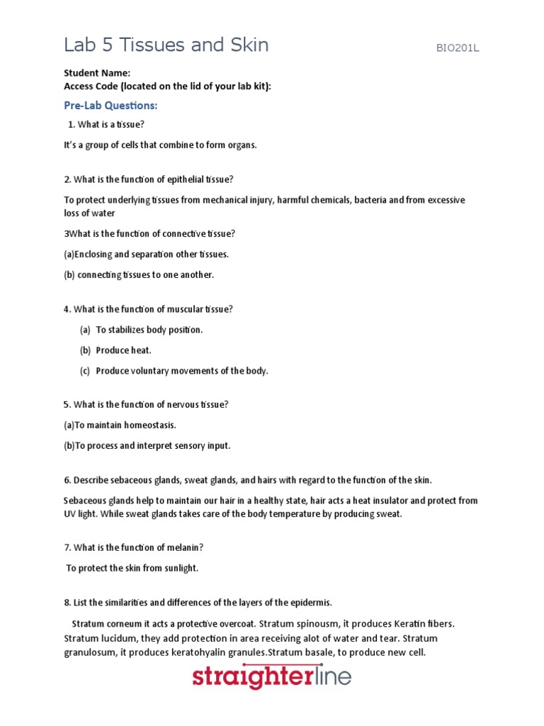 BIO201L Lab 5 Tissues | PDF | Epithelium | Tissue (Biology)