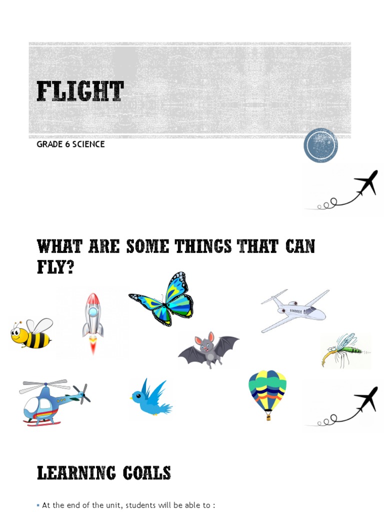Grade 6 Science Properties of Air and Flight | PDF | Aileron | Drag ...