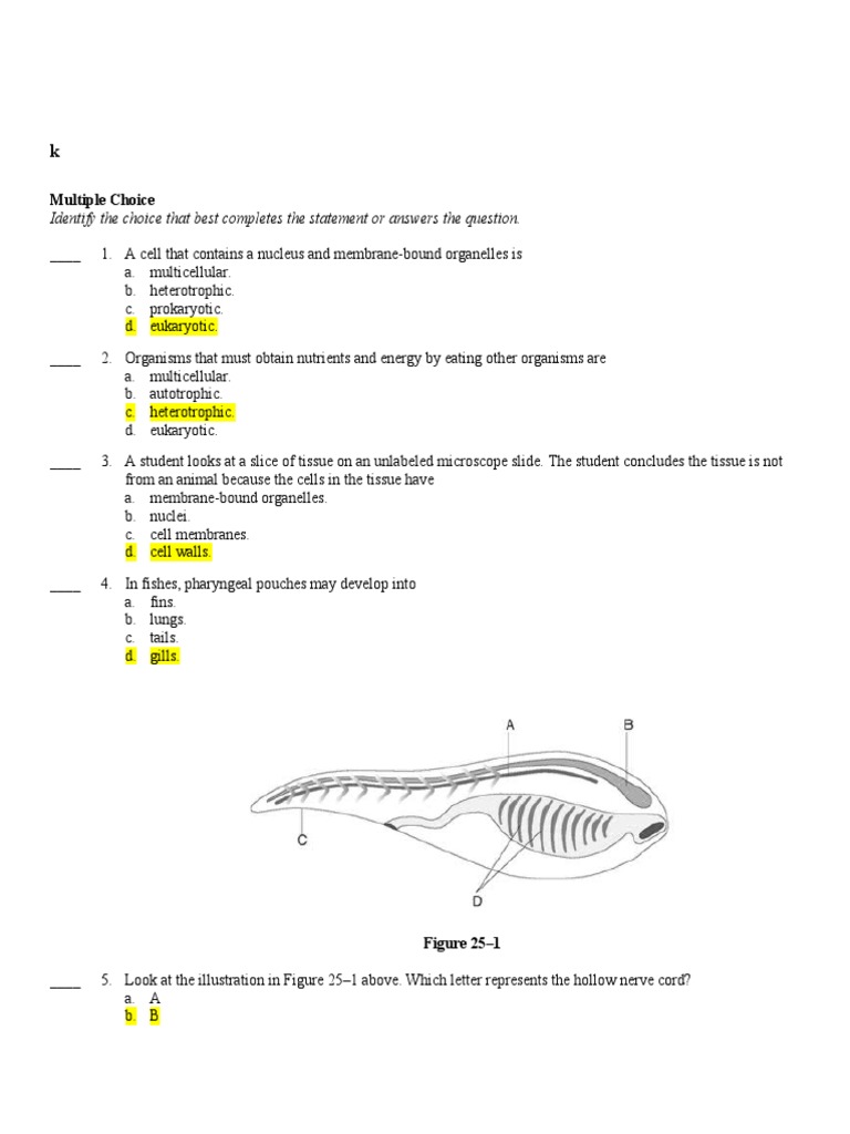 Animal Characteristics and Classification | PDF | Anatomy | Organisms
