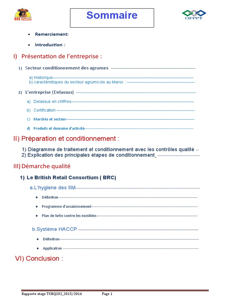 Rapport de Imane 1 | PDF | Maroc | Orange)