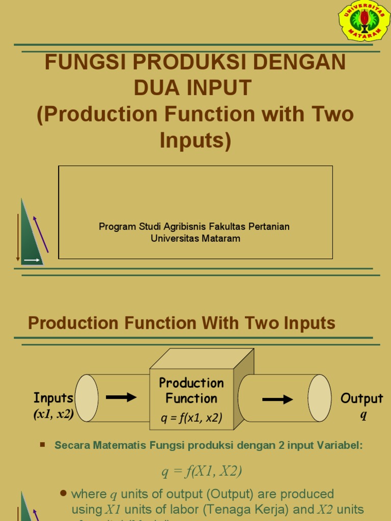 Produksi Dengan 2 Input Variabel | PDF