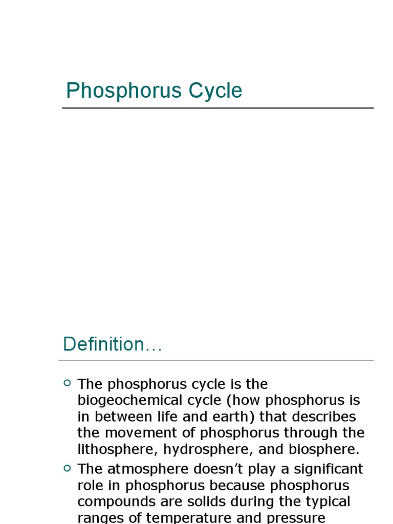 Phosphorus Cycle PPT | PDF | Phosphorus | Plants