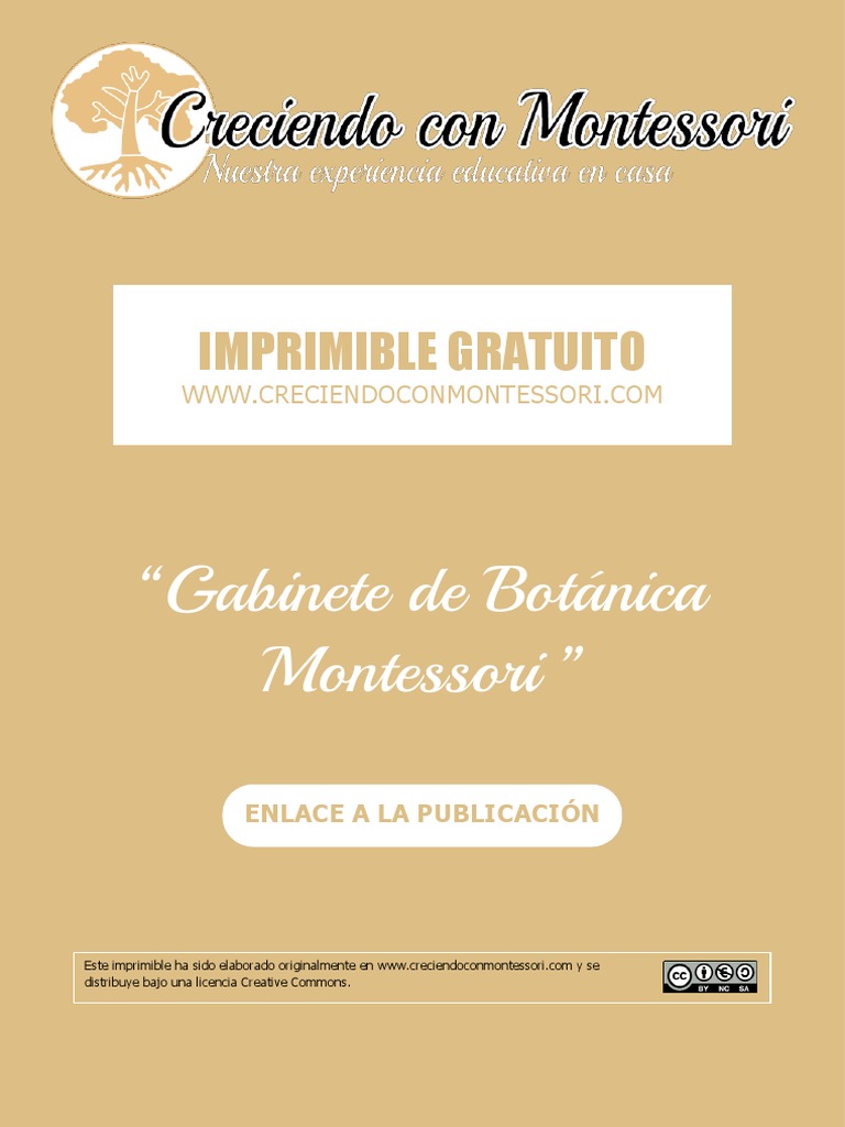 CCM - Gabinete de Botánica Montessori | PDF