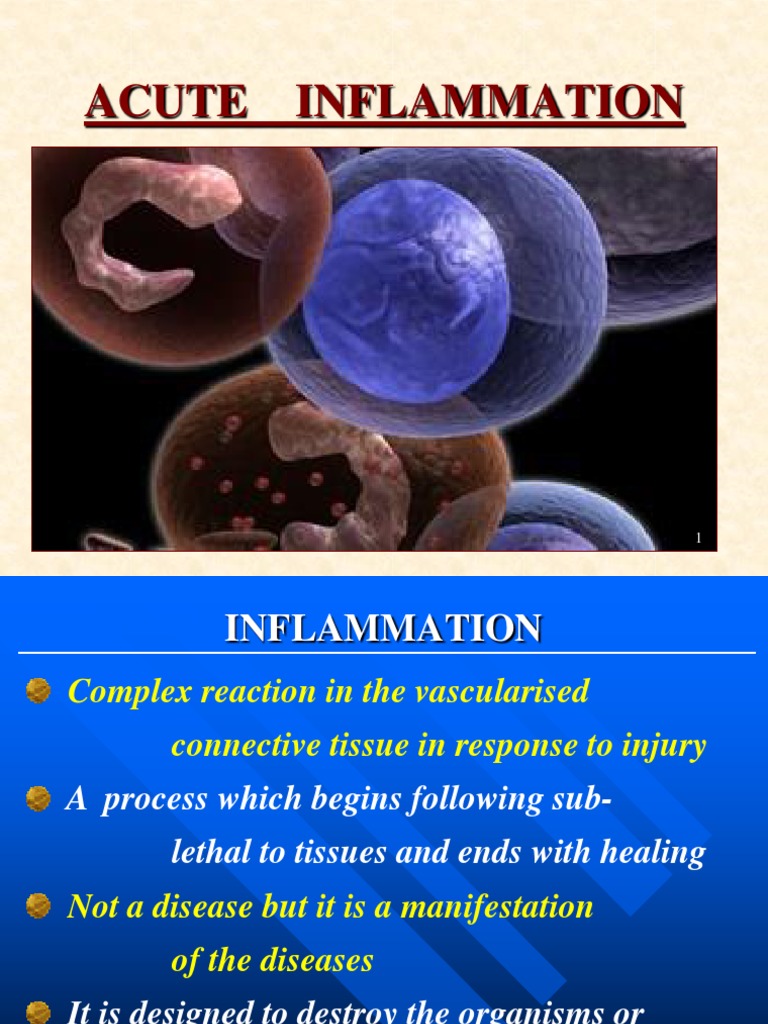 Understanding Acute Inflammation | PDF | Inflammation | Blood Vessel