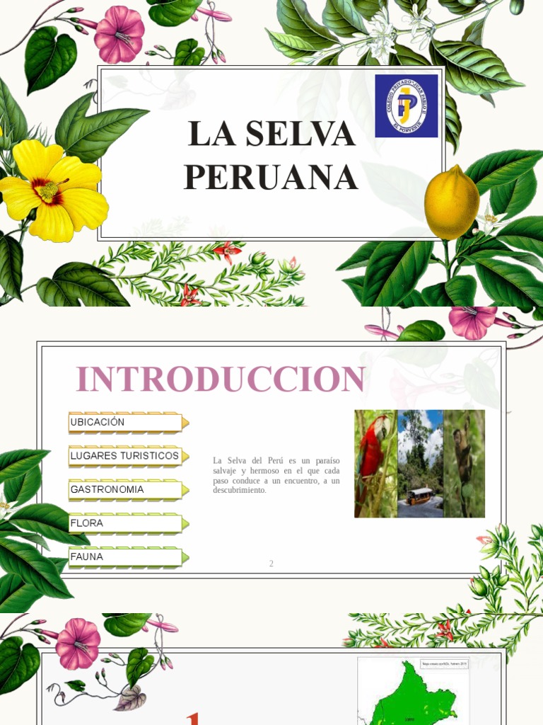 La Selva | PDF