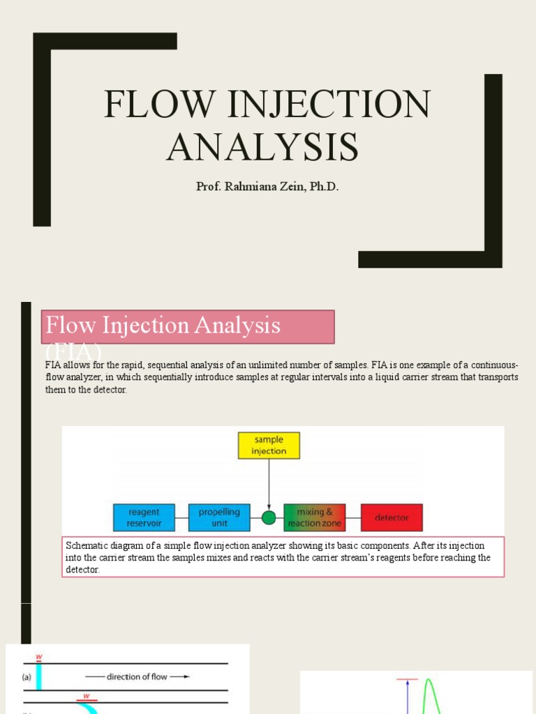 Flow Injection Analysis: Prof. Rahmiana Zein, PH.D | Download Free PDF ...