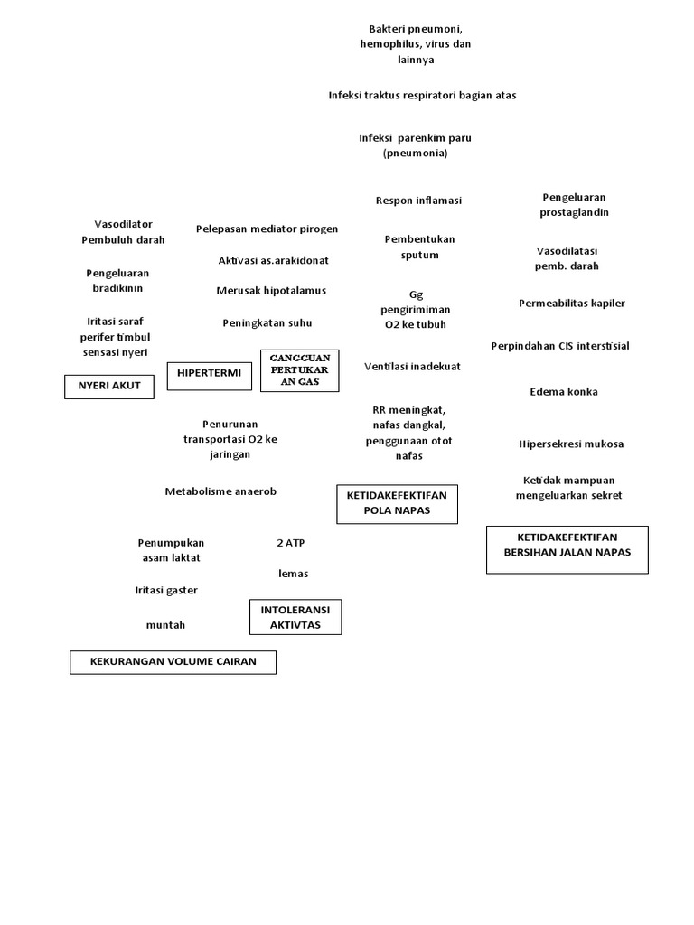Pathway Pneumonia | PDF