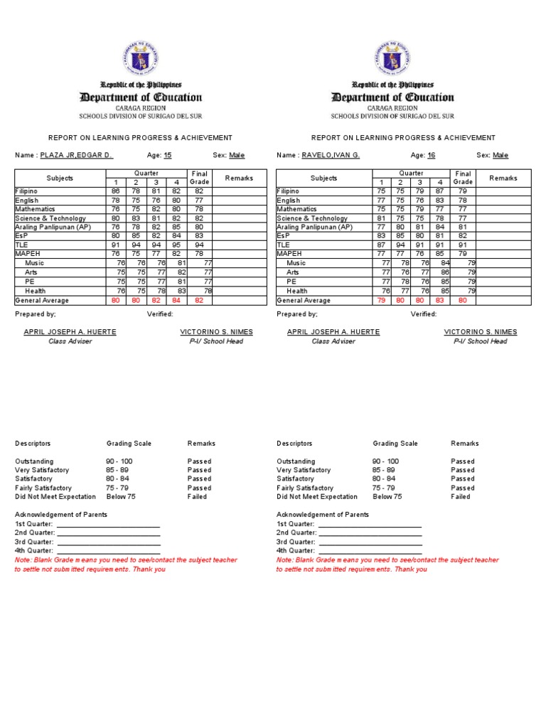 Report On Learning Progress & Achievement Report On Learning Progress ...