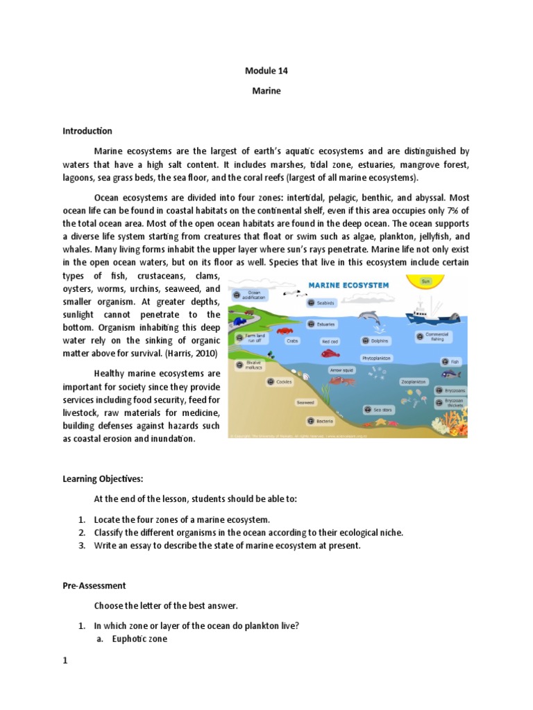 14module in Environmental Science | PDF | Oceans | Coral Reef