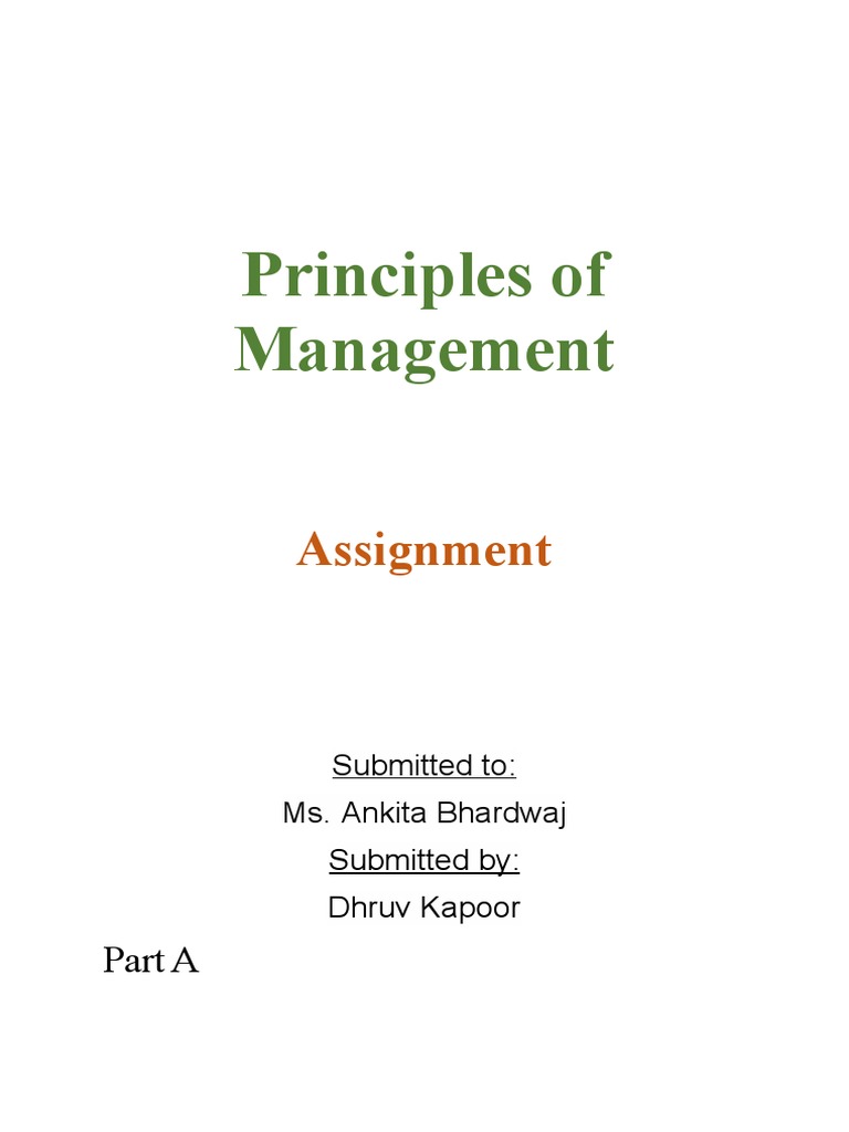 Principles of Management Assignment | PDF | Airlines | Airbus