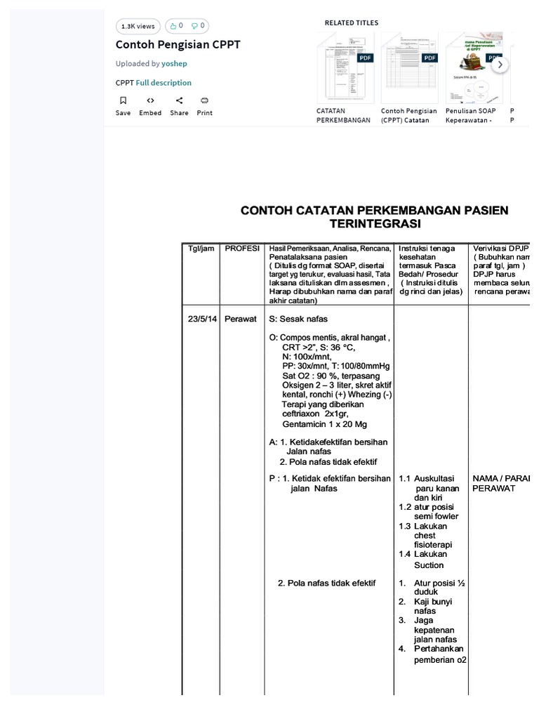 PDF Contoh Pengisian CPPT DD | PDF