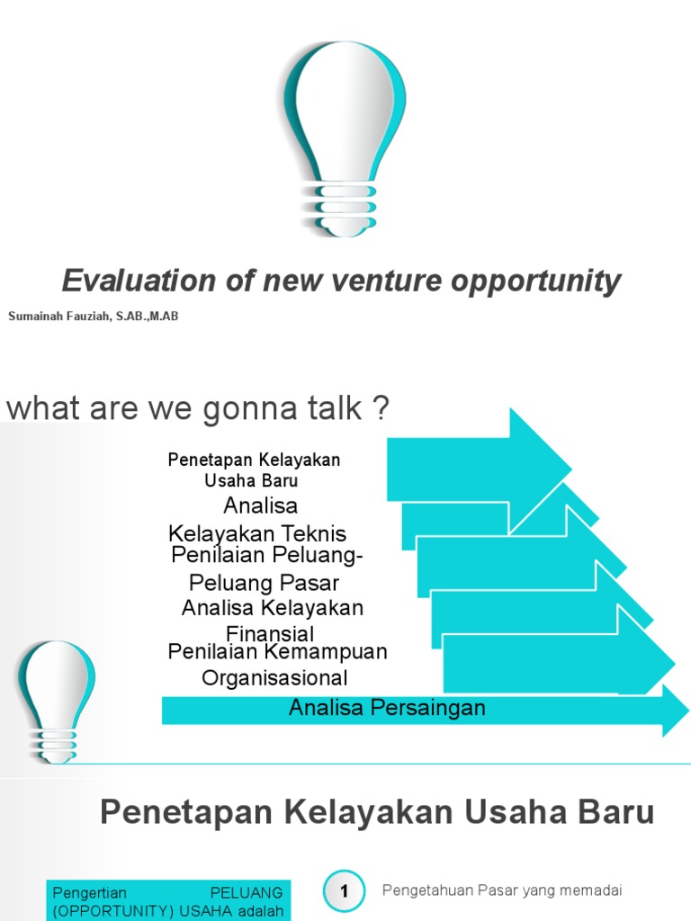 Evaluation of New Venture Opportunity | PDF