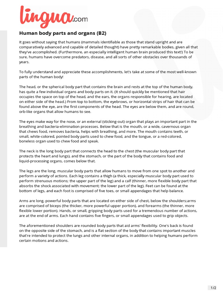 Human Body Parts - Reading | PDF | Hand | Arm