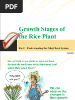 Methods of Crop Establishment | PDF | Seed | Sowing