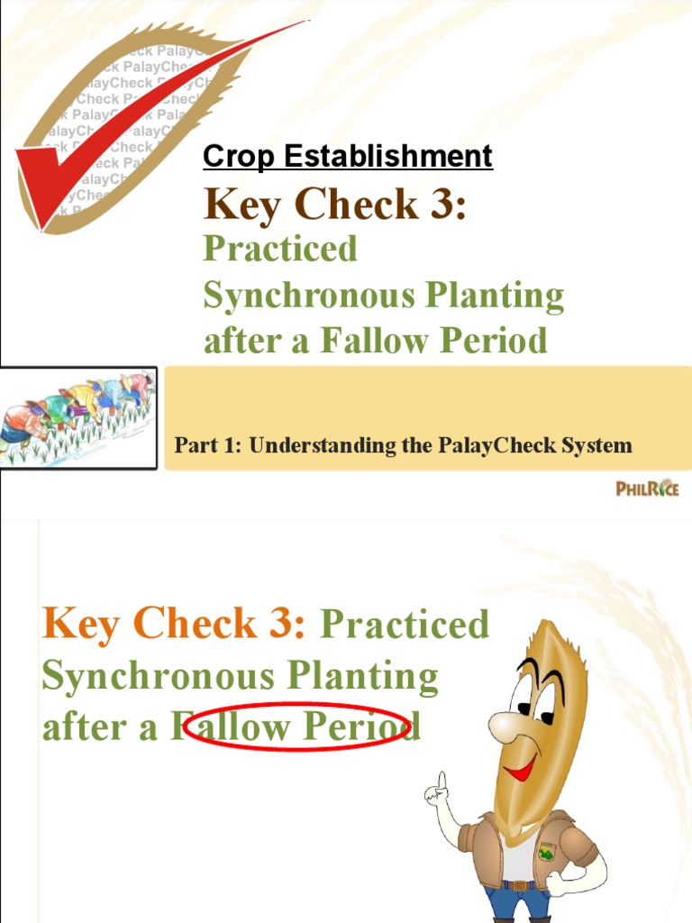 Key Check 3:: Practiced Synchronous Planting After A Fallow Period ...