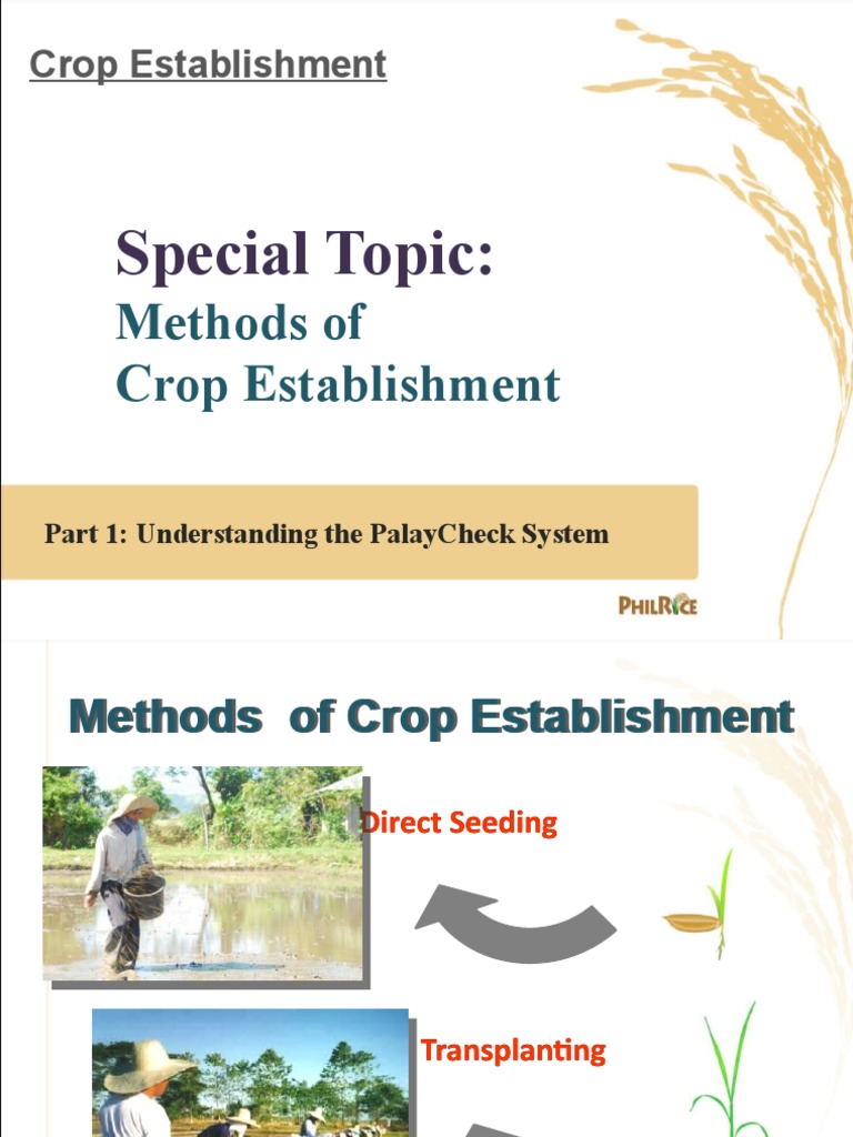 Methods of Crop Establishment | PDF | Seed | Sowing