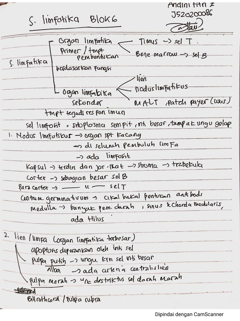 J520200086 Andini Fitri Zaraswati HistoB6 | PDF