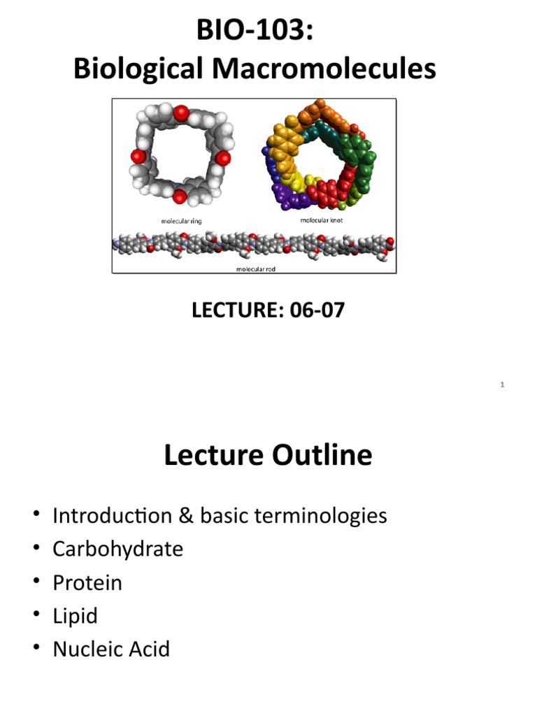 BIO-103: Biological Macromolecules: LECTURE: 06-07 | PDF | Fat ...