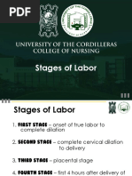 Labor and Delivery Lecture Notes | PDF