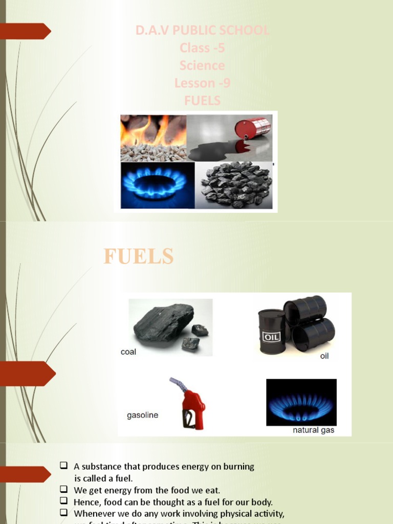 D.A.V Public School Class - 5 Science Lesson - 9 Fuels | PDF | Fuels ...