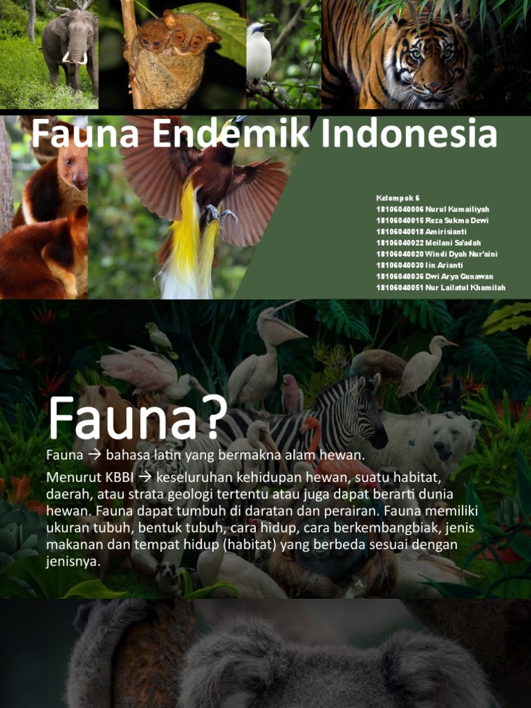 Fauna Endemik Indonesia - Kel. 6 PDF | PDF