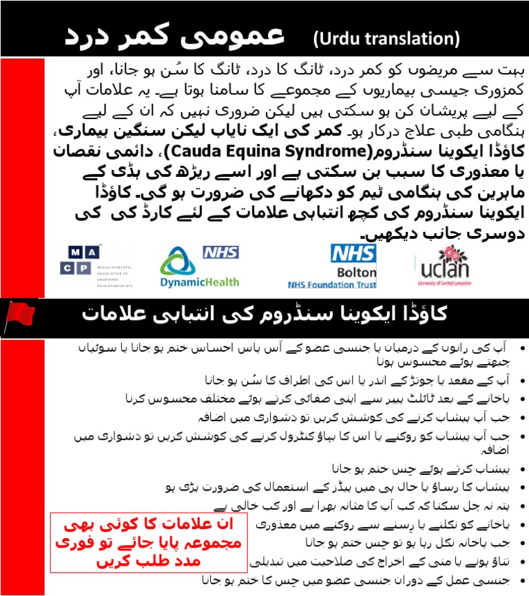 Urdu - CES Card | PDF