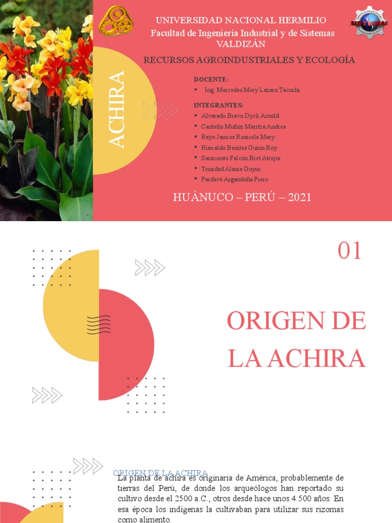 Achira Morada: Cultivo y Beneficios | PDF | Plantas | Botánica
