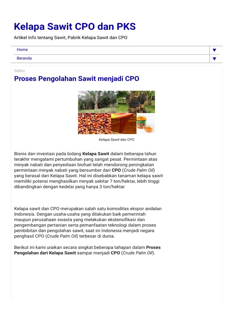 Kelapa Sawit CPO Dan PKS - Proses Pengolahan Sawit Menjadi CPO | PDF