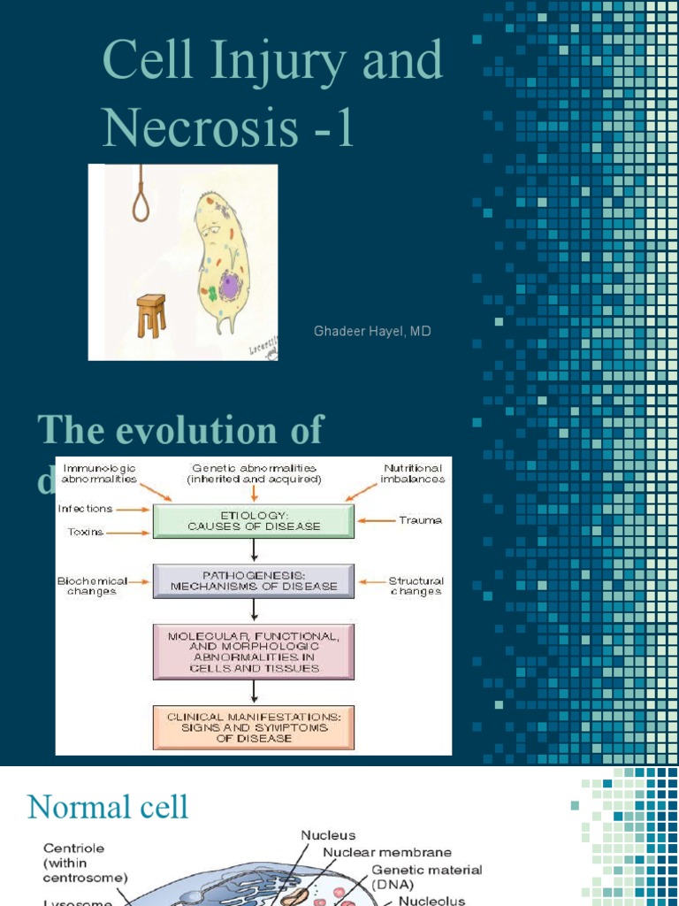 141020202cell Injury and Necrosis | PDF | Hypoxia (Medical) | Ischemia