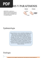 Clasificación de Fimosis Kayaba | PDF | Mamíferos machos | Pene