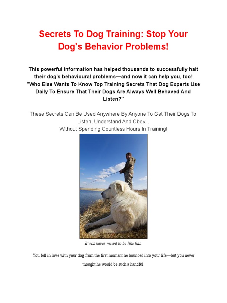 Secrets To Dog Training Stop Your Dog's Behavior Problems | PDF | Dog ...